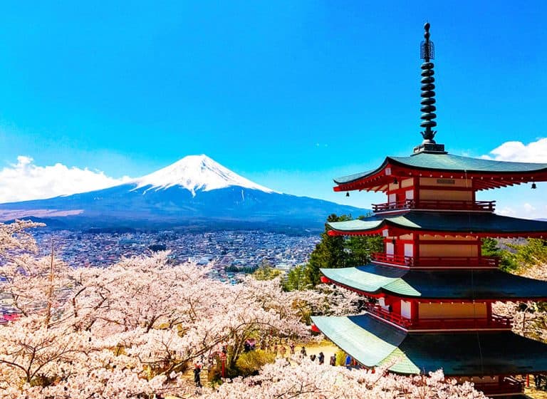 日本亚马逊Amazon FBA仓库地址大全 – 递接物流